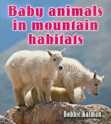 Baby Animals in Mountain Habitats by Bobbie Kalman at Abbey's Bookshop ...