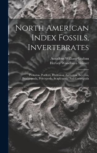 North American Index Fossils, Invertebrates: Protozoa, Porifera ...