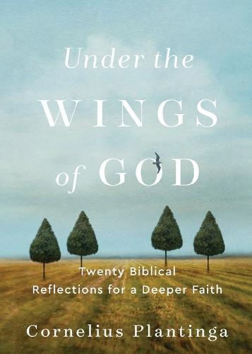 Under the Wings of God – Twenty Biblical Reflections for a Deeper Faith ...